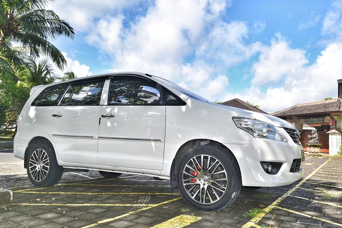 Bali Shore Excursions Cruise Dock In Bali - Final Thoughts: Who Will Love This Tour?