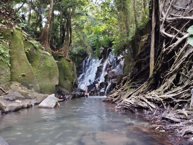 BALI SHORE EXCURSIONS: EXPLORING THE EXOTIC OF BALI - Comfort and Convenience: Why It Matters