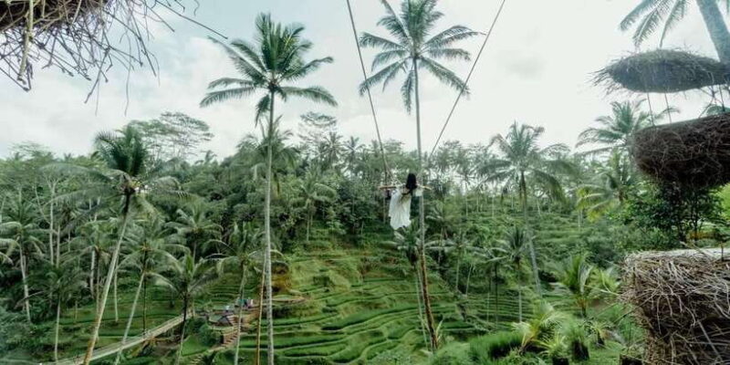 BALI SHORE EXCURSIONS: EXPLORING THE EXOTIC OF BALI - Who Should Consider This Tour?