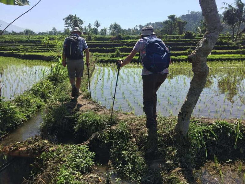 Bali: Sidemen Trekking with Besakih Temple Tour/Rafting - Authenticity and Value