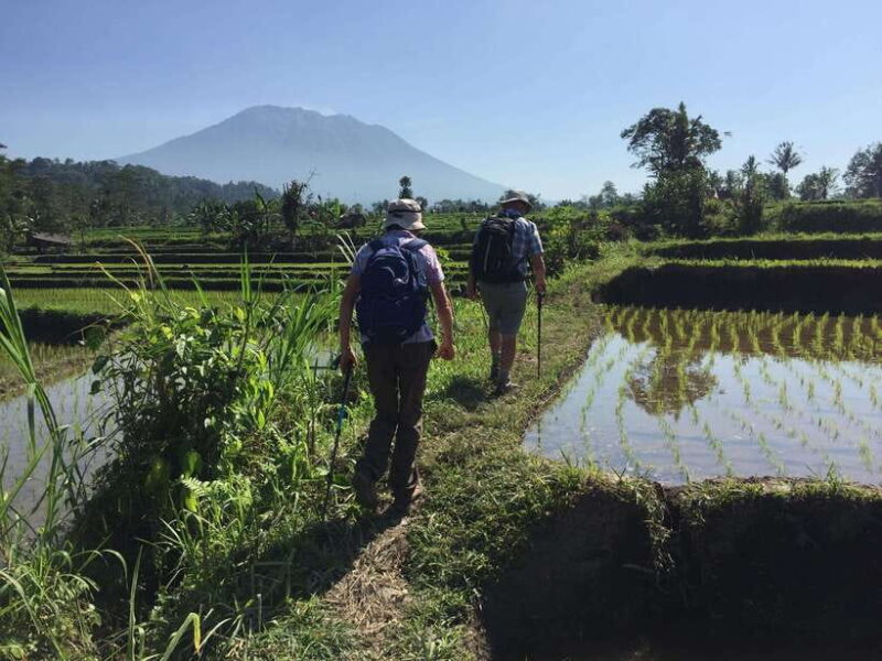 Bali: Sidemen Trekking with Besakih Temple Tour/Rafting - Who Should Consider This Tour?