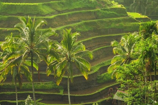 Bali Sightseeing - Whats Included and Whats Not