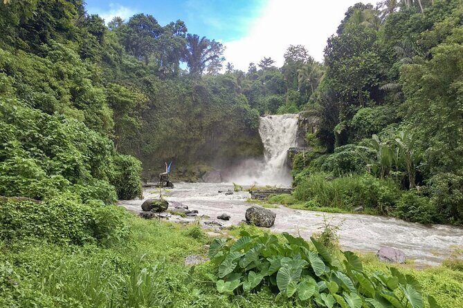 Bali Sightseeing Tours and Tegenungan Waterfall - Authentic Experiences and Insightful Details