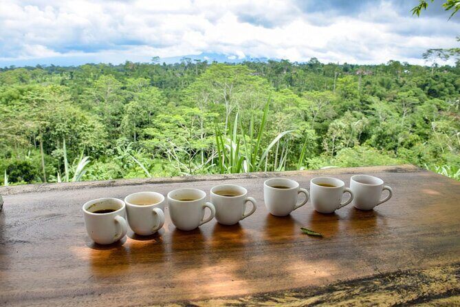 Bali Sightseeing Tours and Tegenungan Waterfall - FAQs
