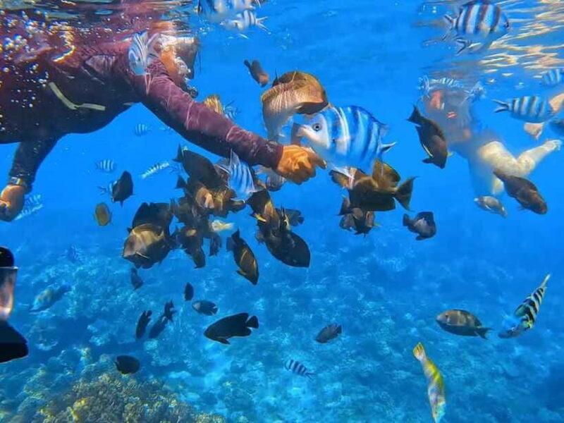 Bali: Snorkeling at Blue Lagoon and Tanjung Jepun with Lunch - The Lunch Break