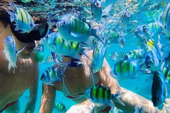Bali Snorkeling at Blue Lagoon include private transport - Key Points
