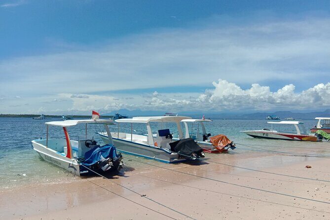 Bali Snorkeling at Blue Lagoon & Tanjung Jepun Beach: All-Inclusive - Authentic Experiences and Traveler Insights