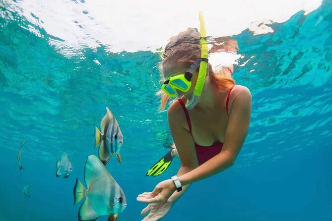 Bali Snorkeling at Blue Lagoon with Transport and Lunch - Why This Tour Shines