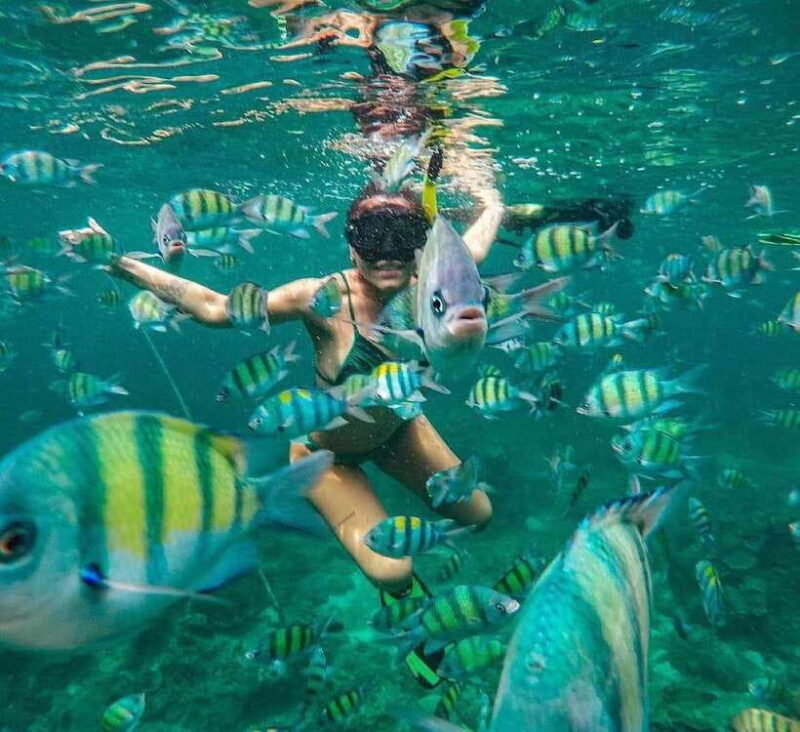 Bali : Snorkeling at two Spots with Lunch and transport - Authentic Experiences and Honest Feedback