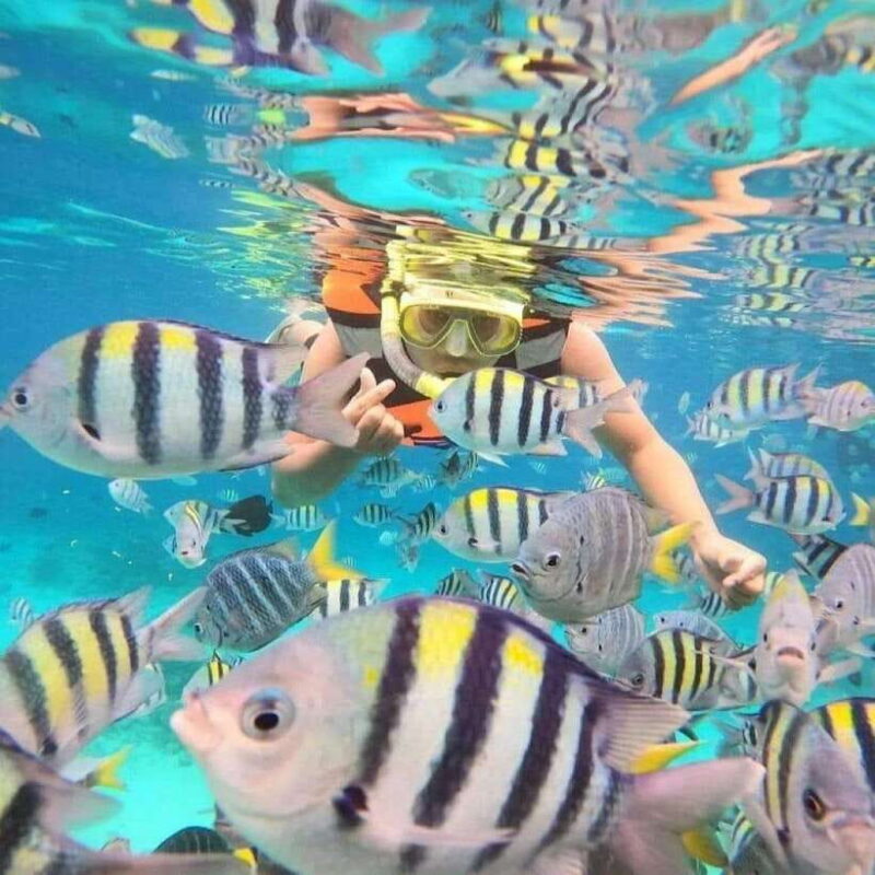 Bali : Snorkeling at two Spots with Lunch and transport - Frequently Asked Questions