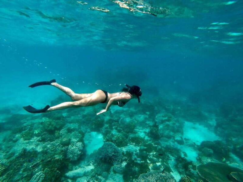 Bali Snorkeling: Blue Lagoon and Tanjung Jepun All Inclusive - The Itinerary and What You Can Expect