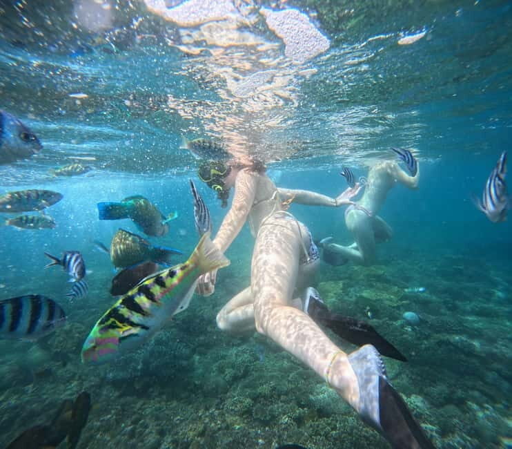 Bali: Snorkeling Experience in Blue Lagoon and Tanjung Jepun - Key Points