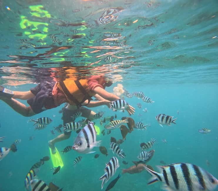 Bali: Snorkeling Experience in Blue Lagoon and Tanjung Jepun - An Introduction to the Bali Snorkeling Tour