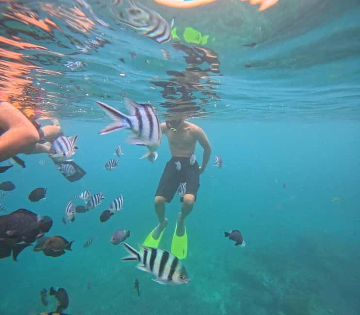 Bali: Snorkeling Experience in Blue Lagoon and Tanjung Jepun - The Sum Up: Is This Tour Right for You?