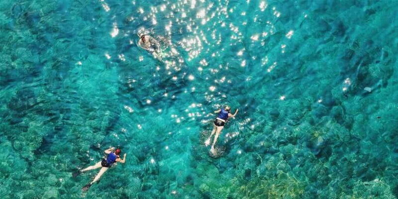 Bali: Snorkeling on 2 spots with Lunch and Transport - Key Points