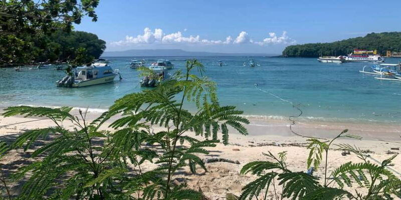 Bali: Snorkeling on 2 spots with Lunch and Transport - Timing and Duration