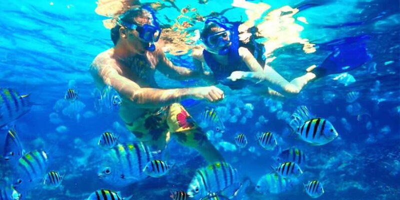 Bali: Snorkeling on 2 spots with Lunch and Transport - Authentic Bali Experience with a View to Safety