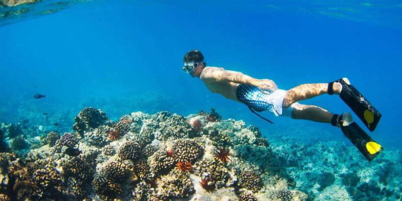 Bali: Snorkeling on 2 spots with Lunch and Transport - Final Thoughts: Who Will Love This Tour?