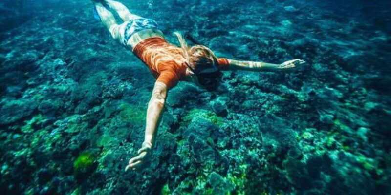 Bali: Snorkeling on 2 spots with Lunch and Transport - Wrapping Up