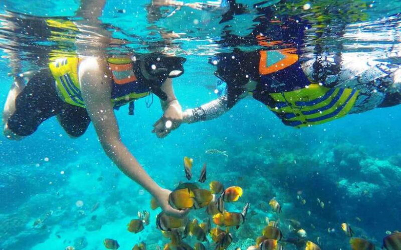 Bali: Snorkeling Tour with USAT Liberty Shipwreck - Final Thoughts: Who Should Consider This Tour?