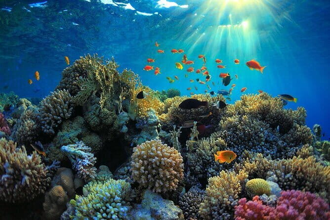 Bali Snorkeling with visit Tukad Cepung Waterfall - Key Points