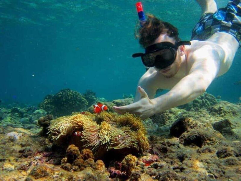 Bali: Snorkling Blue Lagoon Beach include Lunch & Transport - Key Points