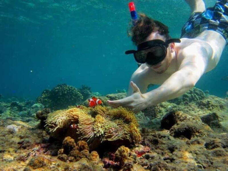 Bali: Snorkling Blue Lagoon Beach include Lunch & Transport - The Sum Up