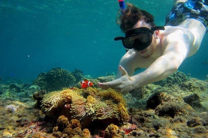 Bali Snorkling Blue Lagoon Beach with Lunch & Private Transport - Transportation and Logistics: Making It Hassle-Free