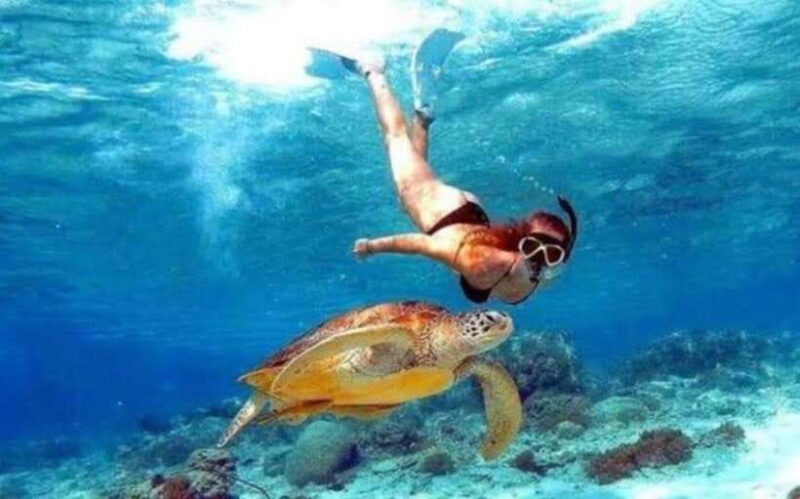 Bali southeast : Nusa Penida Full-Day Trip with Snorkeling - FAQs