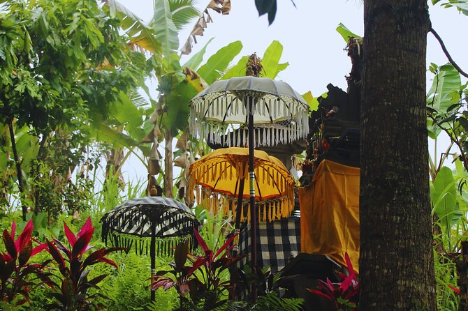 Bali Spiritual: Blessing Ceremony, Pristine Nature and Transfer - Key Points