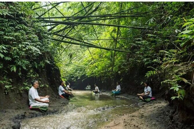 Bali Spiritual: Palm Reading, Purification, and Healing - Introduction