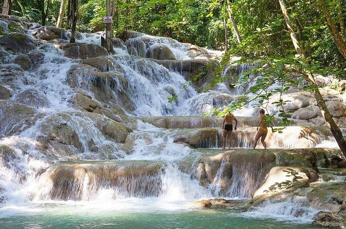 Bali Style High Ropes Swing and Dunn's River Fall Adventure - Authentic Insights from Travelers