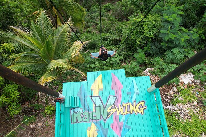 Bali Style Swing and Dunn's River Falls - An In-Depth Look at the Tour Experience