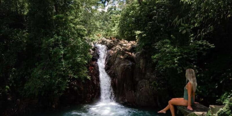 Bali: Swimming with dolphin & waterfal tour, all inclusive. - Key Points