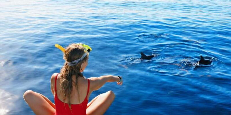 Bali: Swimming with dolphin & waterfal tour, all inclusive. - Final Thoughts