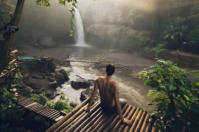 Bali Swing Activities and Ubud Full Day Tour - Key Points