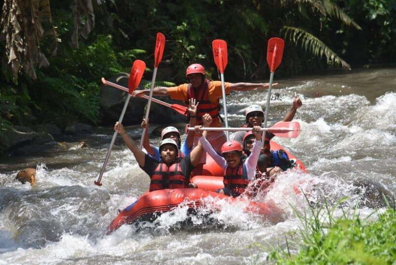 Bali: Swing and Rafting Combo Experience (Hotel Transfer) - What We Liked and Noticed
