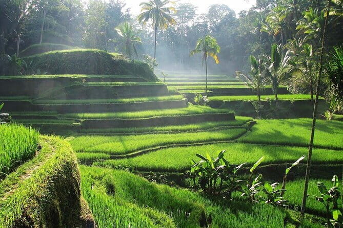 Bali Swing and Taman Beji Griya Waterfall Tour - Who Will Love This Tour?