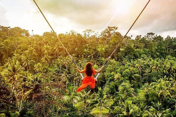 Bali Swing Experience and Ubud Tour - A Full Day of Bali’s Best: What the Tour Looks Like in Detail