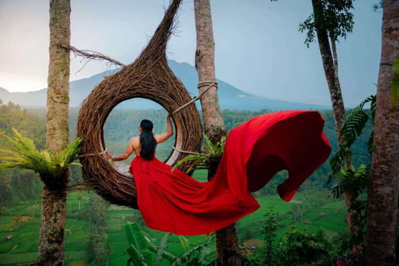 Bali: Swing & Iconic Falls Private Tour (All-Inclusive) - Key Points