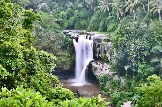 Bali Swing Packages and Kintamani Mt Batur Volcano View - The Sum Up