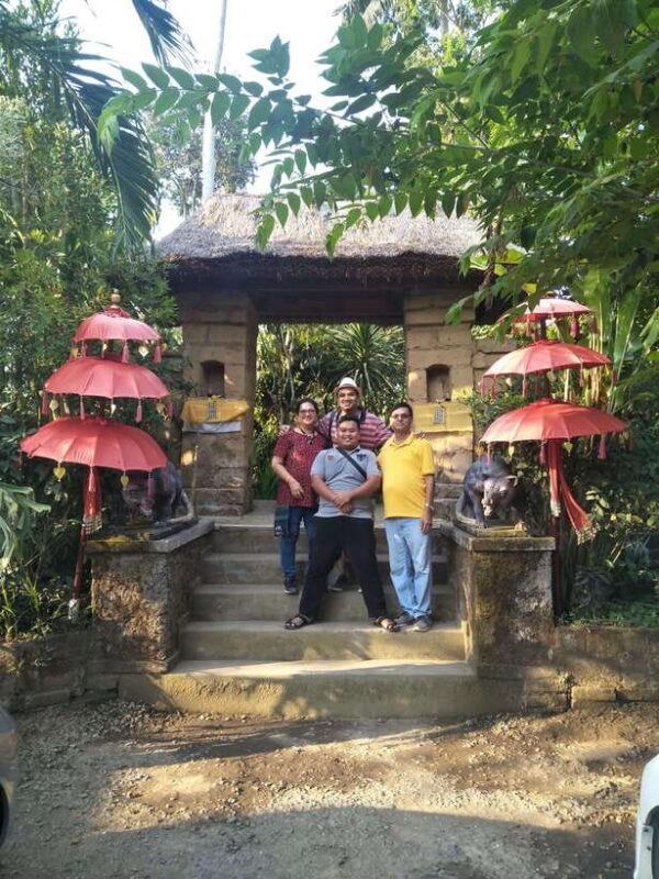 Bali swing ; Rice art Amazing and monkey forest private tour - Key Points