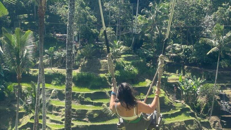 Bali: Swing, Waterfall, and Temple Tour with Hotel Pickup - What Could Be Better?
