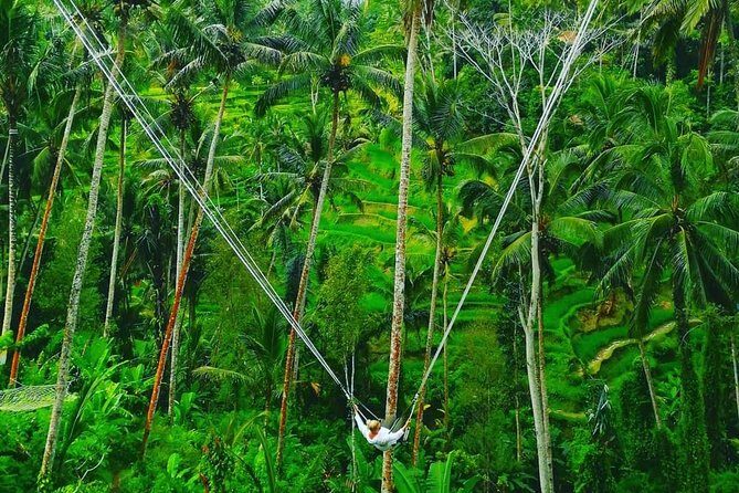 Bali swing, Waterfall, Tanah lot Tour - Tour Breakdown: What You Can Expect