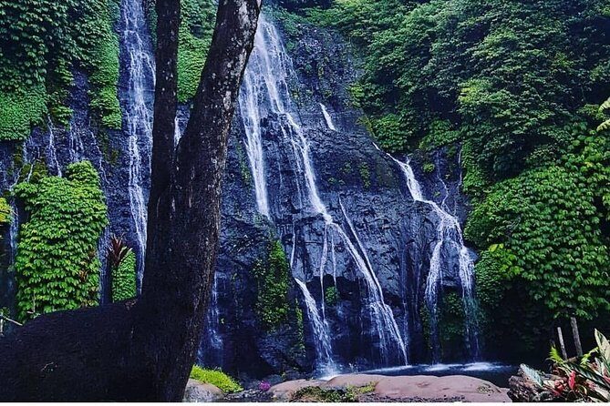 Bali swing, Waterfall, Tanah lot Tour - The Sum Up