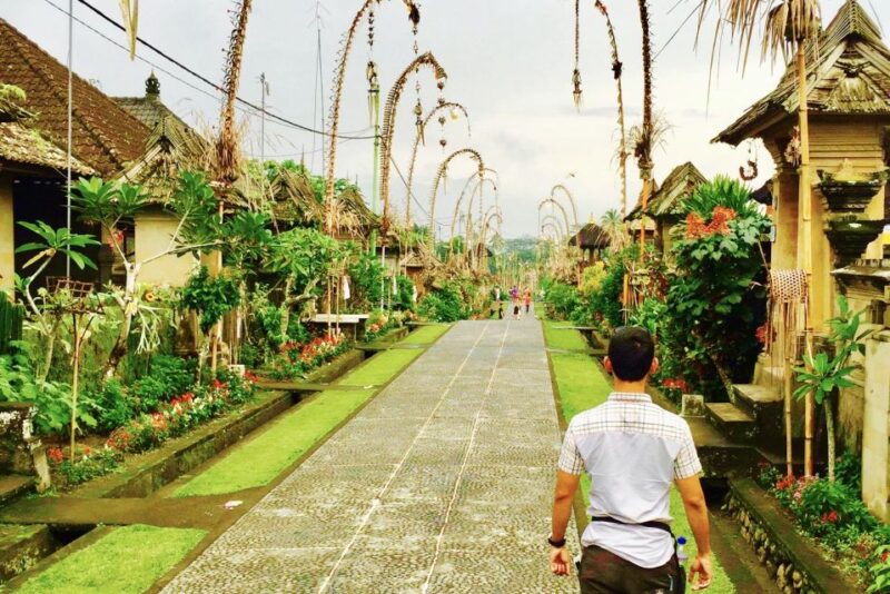 Bali: Swing with Falls, Rice Terrace, & Monkey Forest Option - Who Is This Tour Best For?