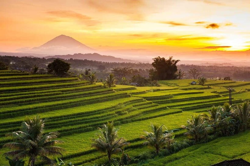 Bali: Taman Ayun, Jatiluwih, Ulun Danu, and Monkey Forest - Final Thoughts