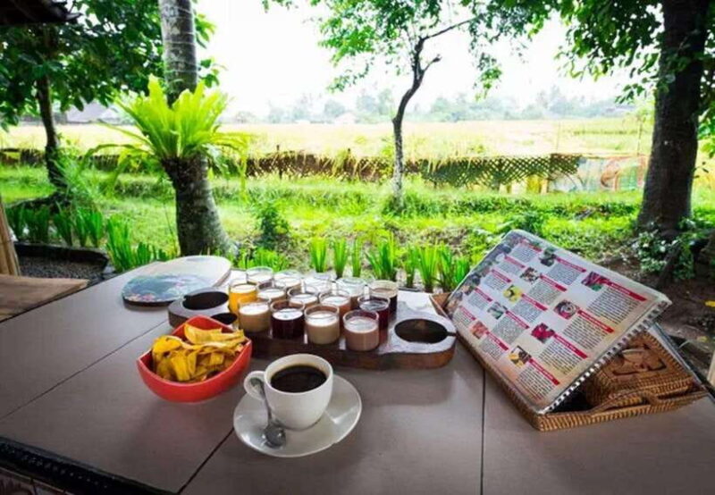 Bali: Taman Ayun, Jatiluwih, Ulun Danu, and Monkey Forest - Key Points