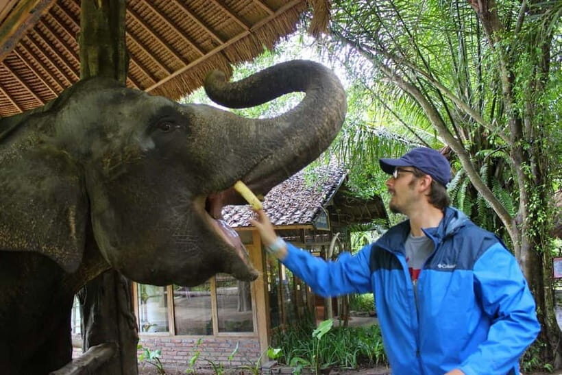 Bali: Taman Safari and Elephant Feeding with Hotel Transfer - Key Points