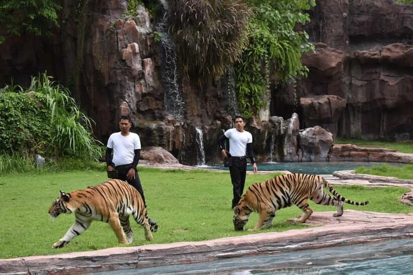 Bali: Taman Safari and Elephant Feeding with Hotel Transfer - The Sum Up